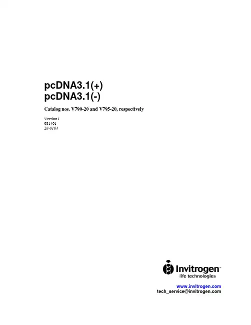 Vector pcDNA3[1].0图谱 - 文档之家