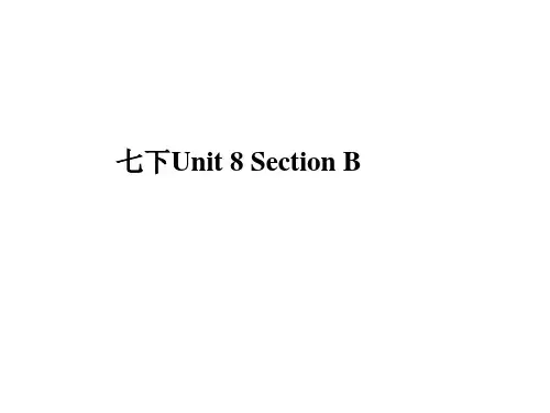 Unit 8 Section B - 文档之家