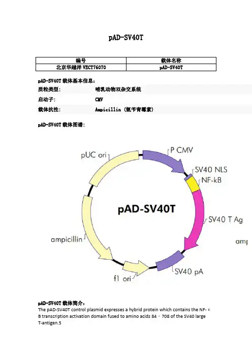 pGL4.27哺乳动物表达载体说明 - 文档之家