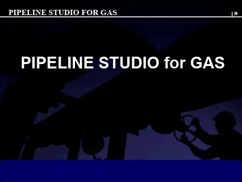 Pipelinestudio(Tgnet)应用指南 - 文档之家