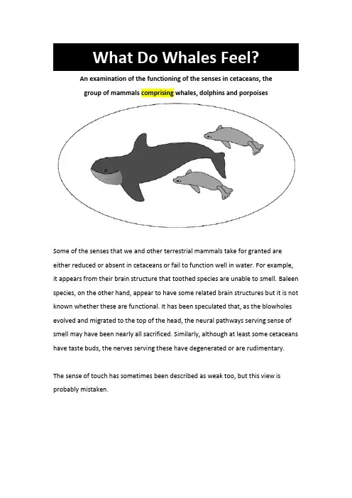 reading 02-2 - 360文档中心