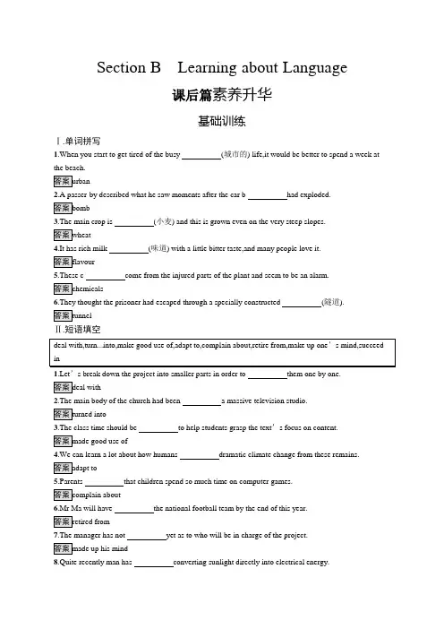 2021年高中英语(新教材)人教选择性必修第一册同步练习：Unit 5 Section D Using Language (Ⅱ) - 文档之家