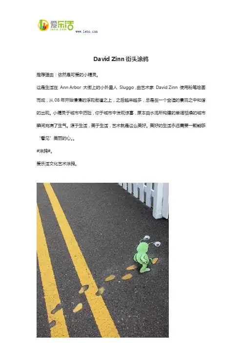 Muniz Gonzaga创意街头涂鸦 - 文档之家