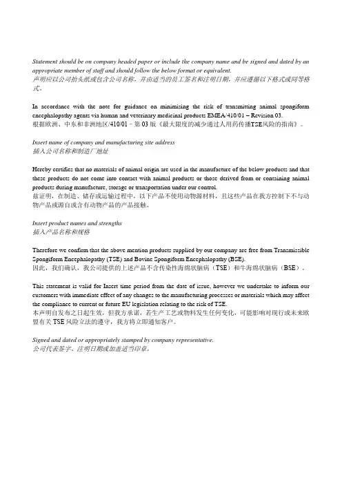 TSE声明模板 - 文档之家