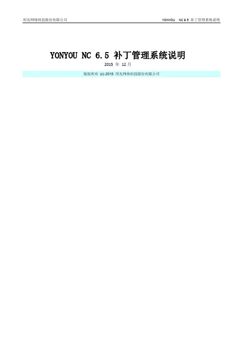 YONYOU NC 6.5安装指南 - 文档之家