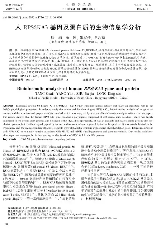 核糖体S6K蛋白激酶 - 文档之家