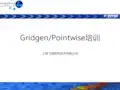 Pointwise官方教程 - 文档之家