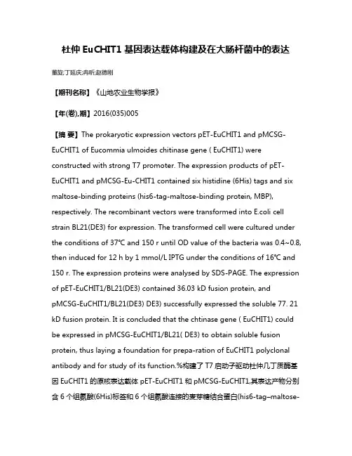 pETDuet-1大肠杆菌表达载体说明 - 文档之家