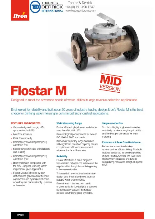 flomaster 2021技术手册 - 文档之家