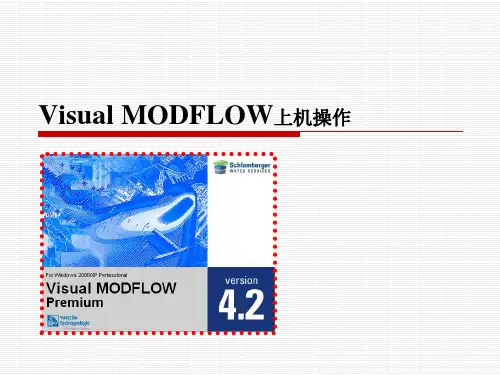 Visual MODFLOW中文指南 - 文档之家