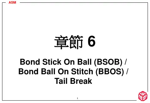 BSOB模式与BBOS模式课件 - 文档之家