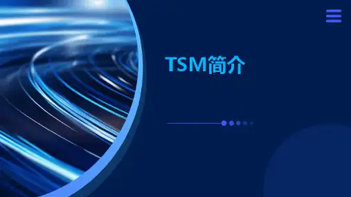 IBM TSM简介和配置 - 文档之家