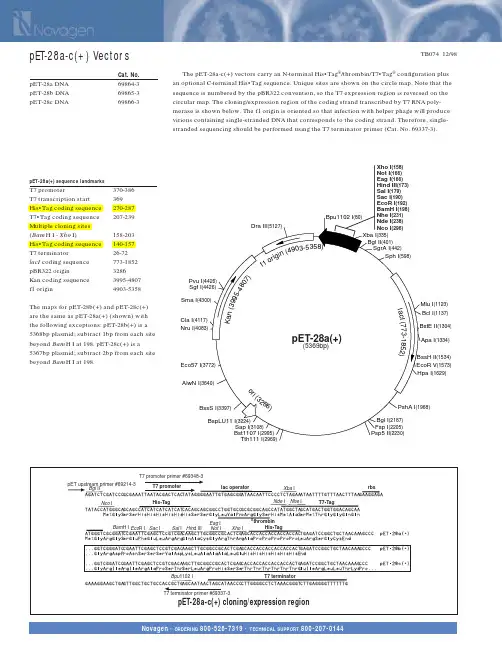 pET28a全序列 - 文档之家