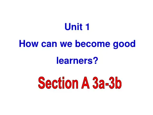 Unit 1 section A 3a— 3b - 文档之家