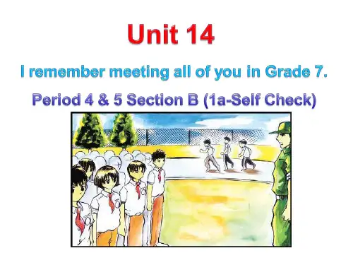 14-15学年九年级英语(新)鲁教版全册Unit10 SectionB(3a-Self__Check)精品课件 - 文档之家